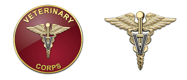 Military Insignia 3D : U.S. Army Branches: Insignia and Plaques